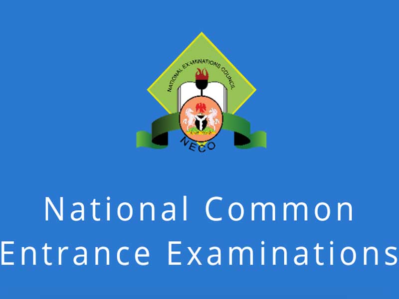 How to Check National Common Entrance Examination (NCEE) 2024 Results Online - Student Village